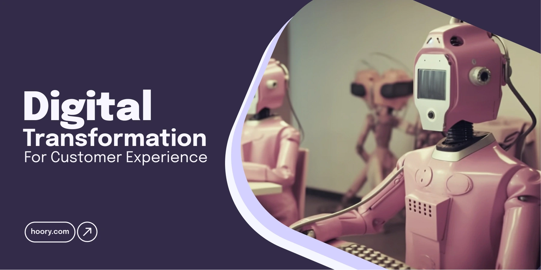 Digital Transformation for Customer Experience | Hoory AI