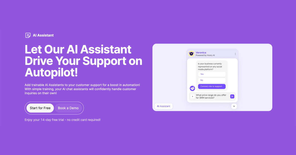 AI Assistant for Customer Support Automation | Hoory AI