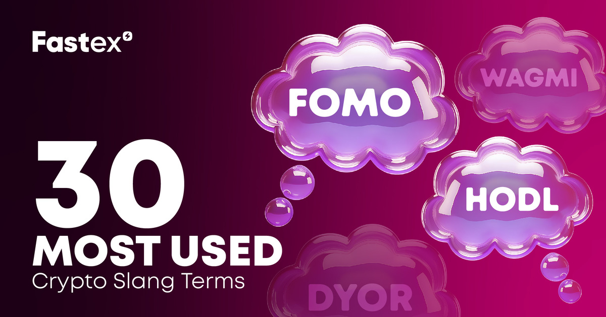 30 most used crypto slang terms | Fastex